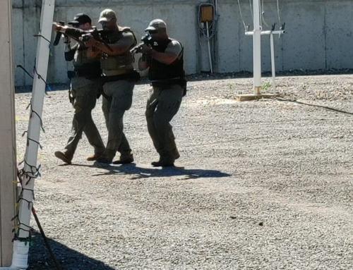 Managing Security at Large-Scale Events: Best Practices for Crowd and ...